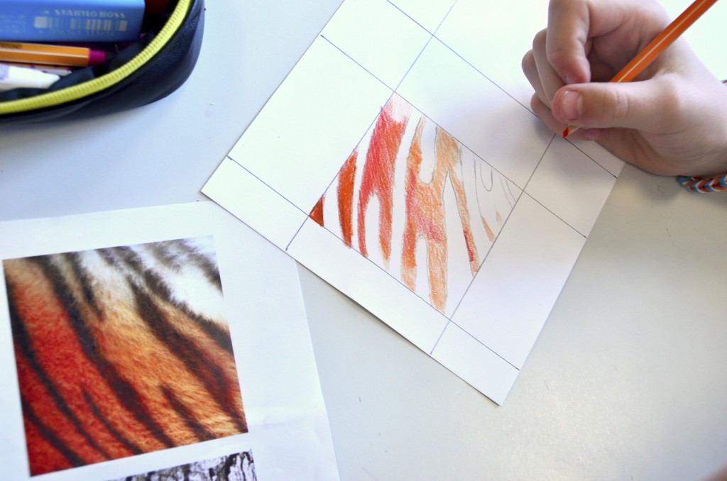 Texture naturali con le matite colorate – Arte a Scuola