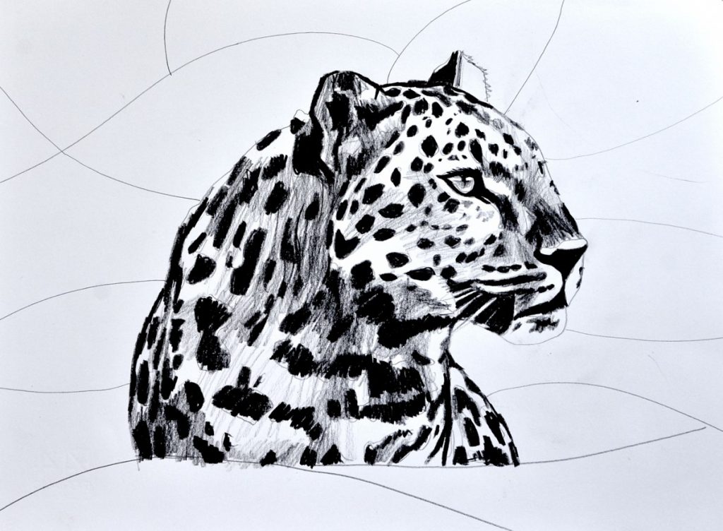 Animali in bianco e nero – Arte a Scuola