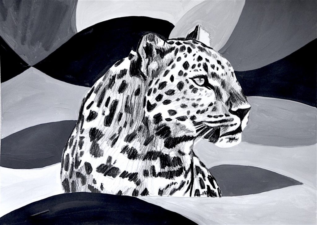 Animali in bianco e nero – Arte a Scuola