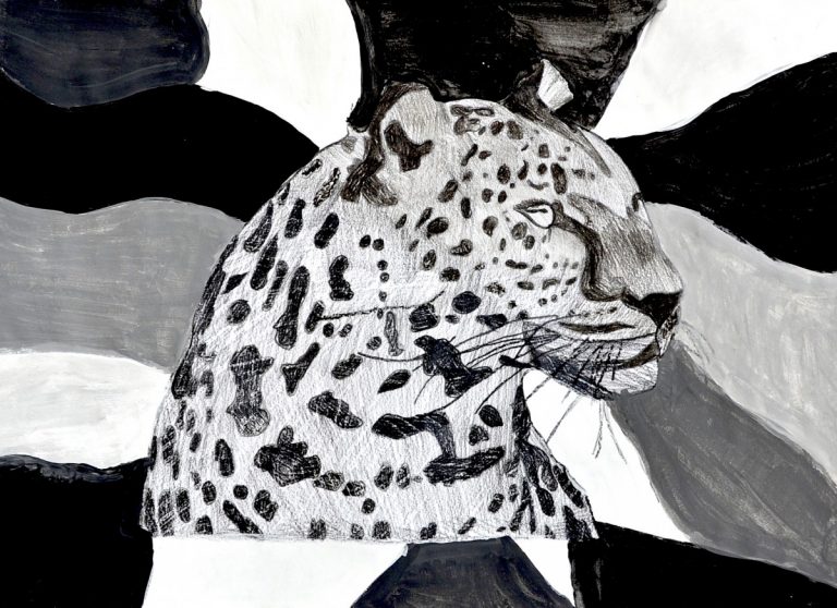 Animali in bianco e nero – Arte a Scuola