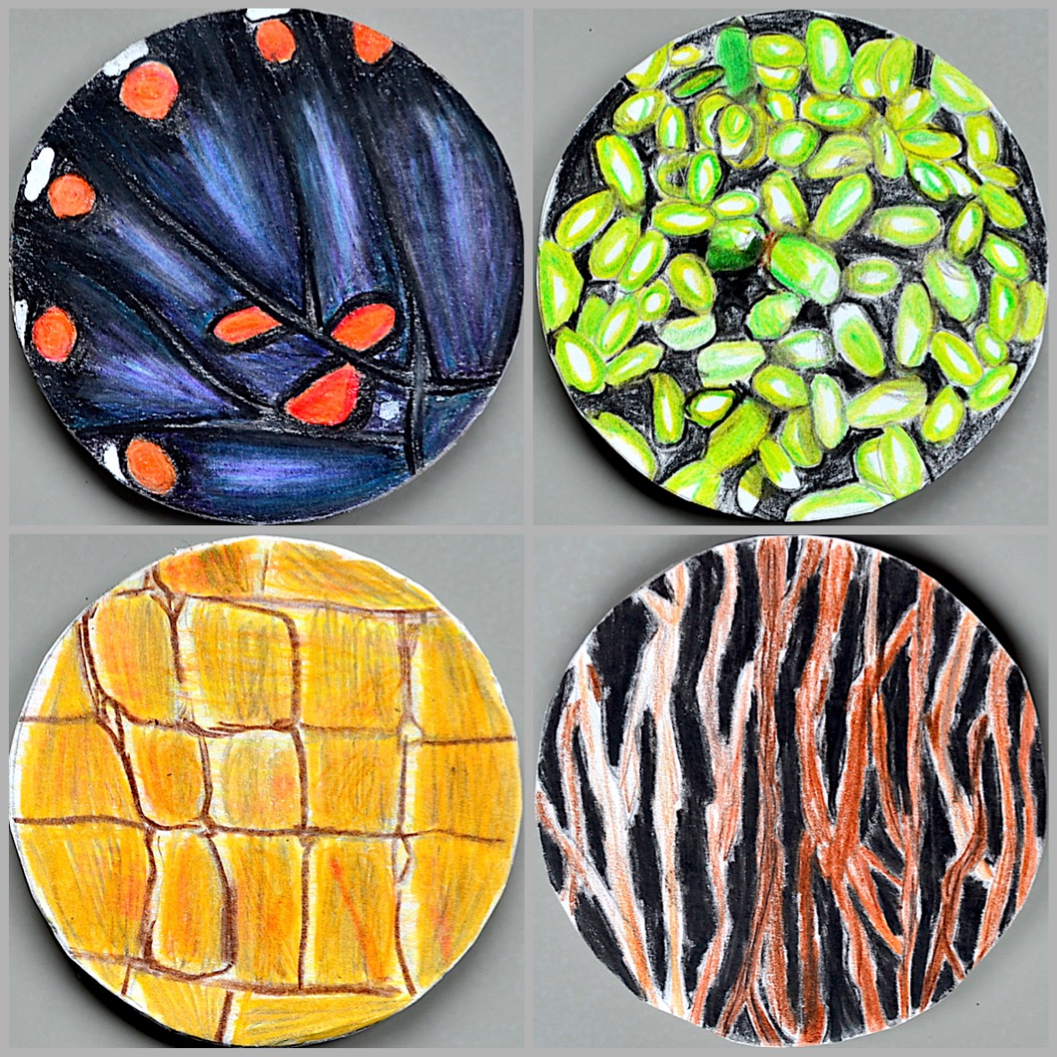 Cerchi con texture – Arte a Scuola