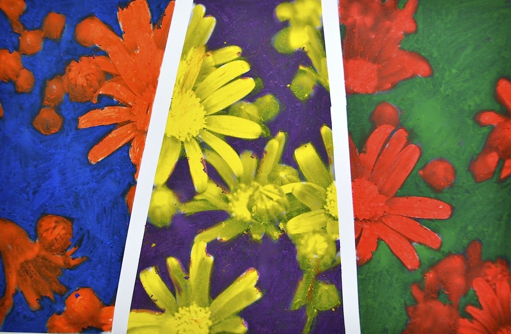 Flowers in complementary colors – Arte a Scuola