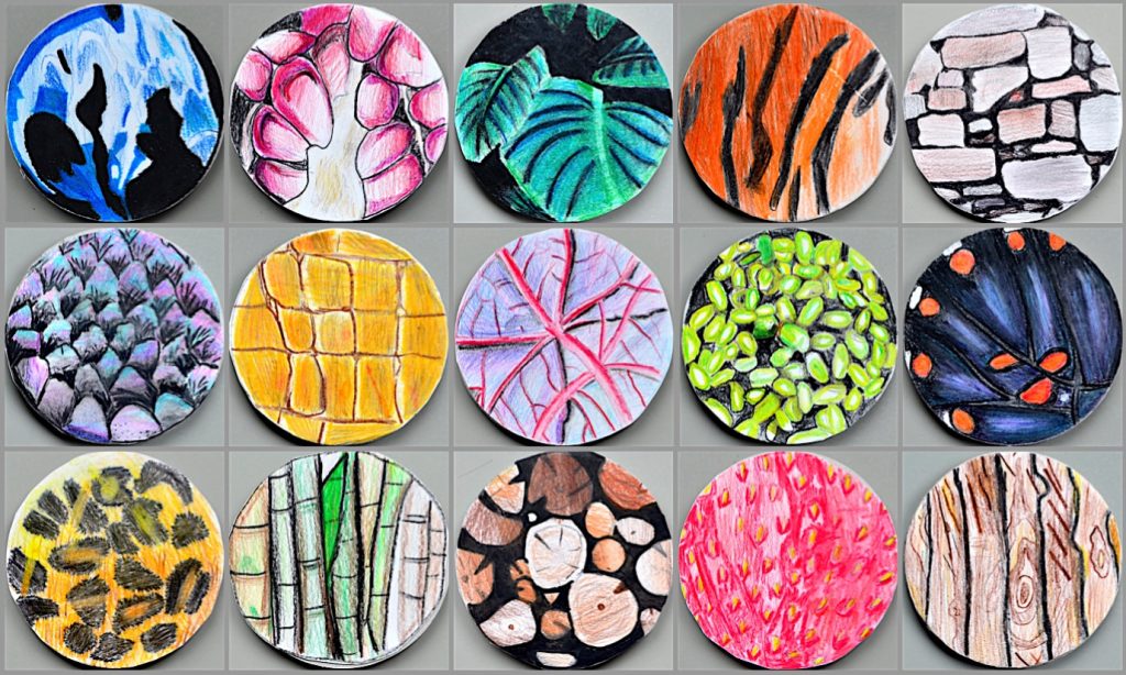 Citrus fruits in complementary colors – Arte a Scuola